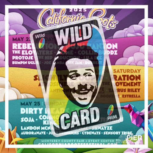 Cali Roots Festival Opens the Stage to Rising Artists with Wild Card ...