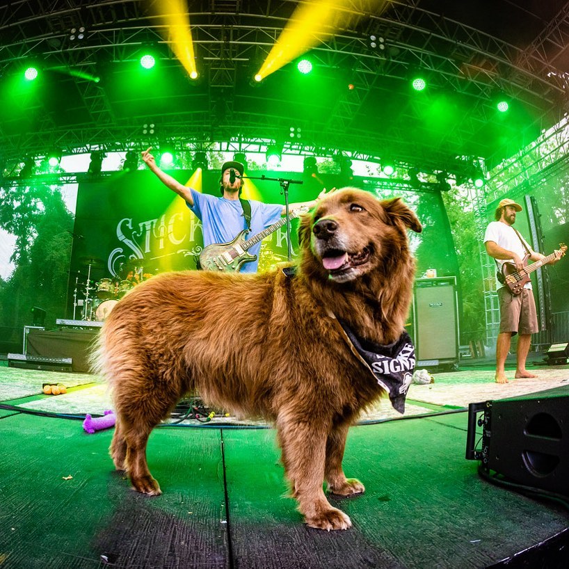 Johnny Cosmic releases new solo single “Golden Soul” - The Pier